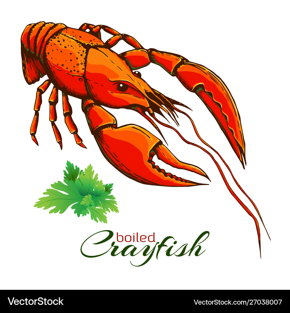 Crawfish Outline Vector Images (over 480)