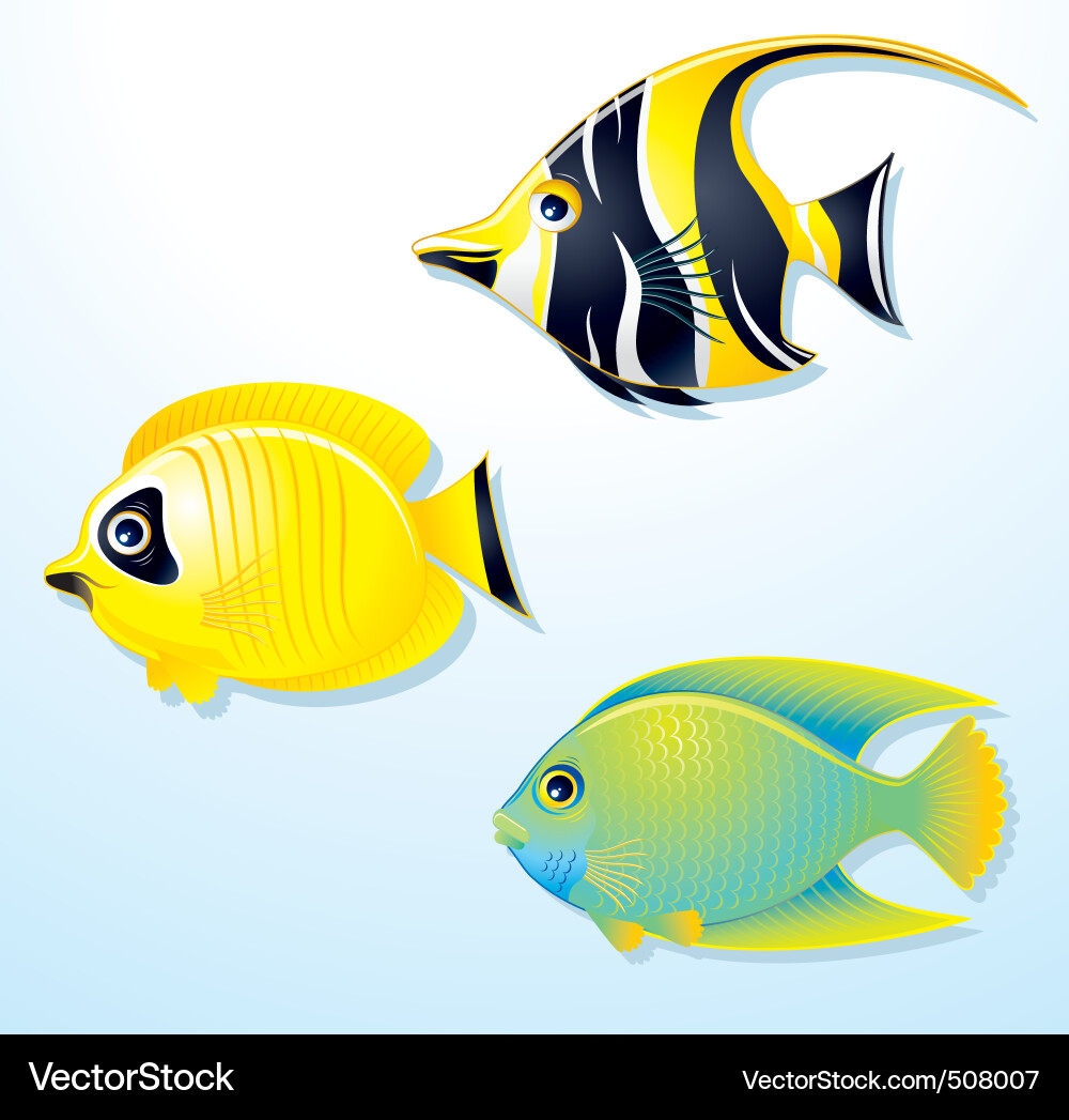 Tropical exotic fishes Royalty Free Vector Image