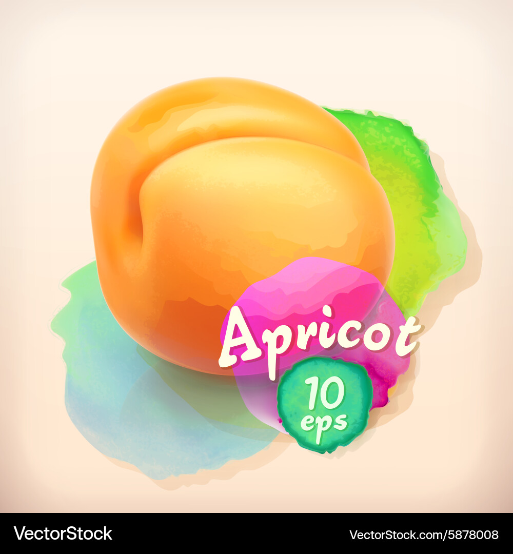 Apricot summer fruit Royalty Free Vector Image