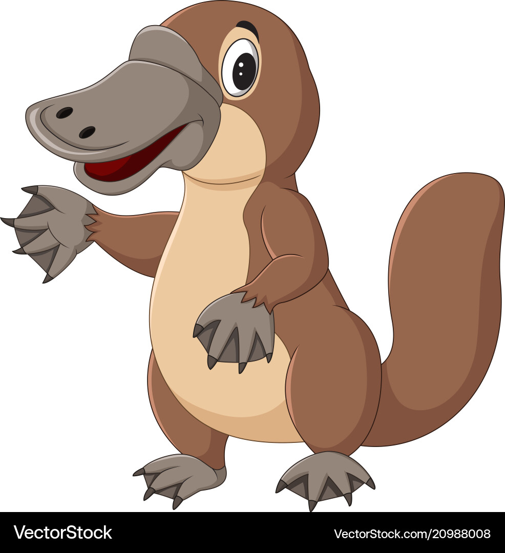 Cartoon platypus isolated on white background Vector Image