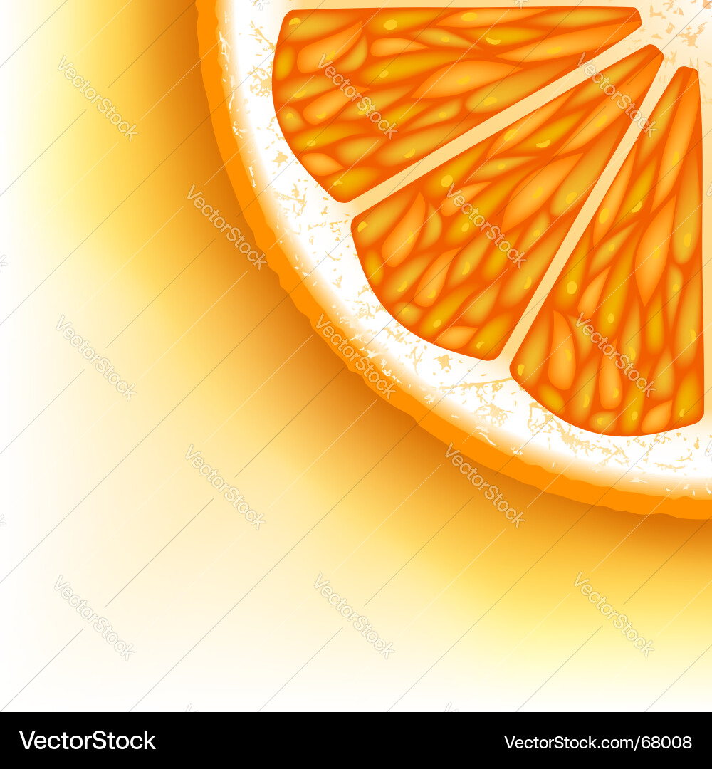 Orange slice Royalty Free Vector Image - VectorStock