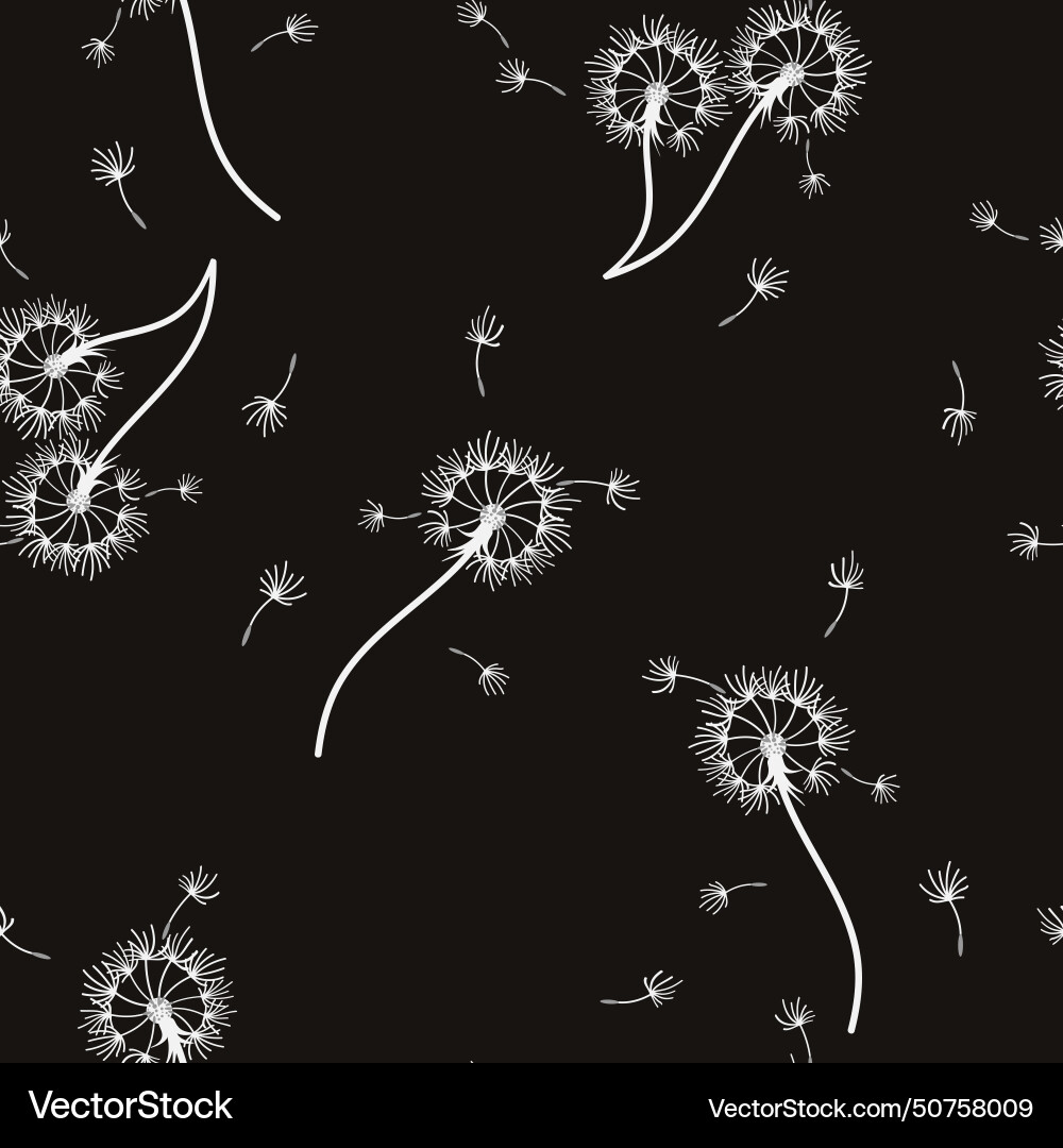 Dandelion background your design abstract floral Vector Image