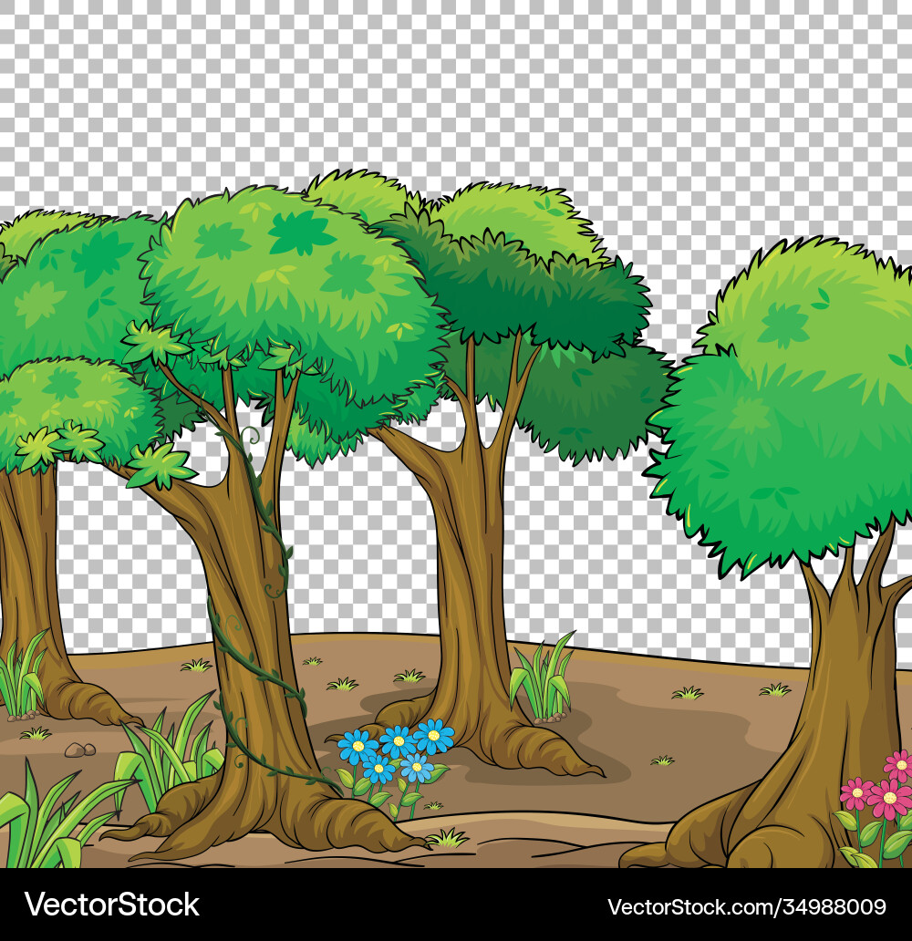 Nature outdoor landscape transparent background Vector Image
