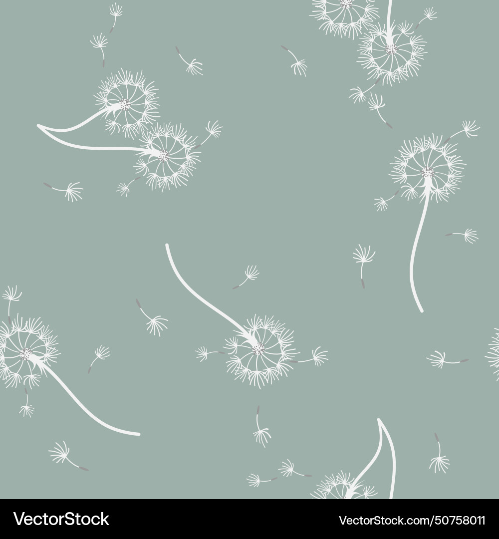Dandelion background your design abstract floral Vector Image