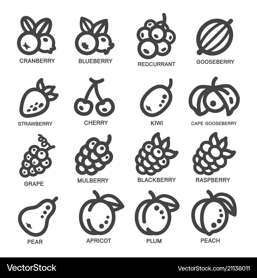 Fruit Line Icons - Berry Collection Royalty Free Vector