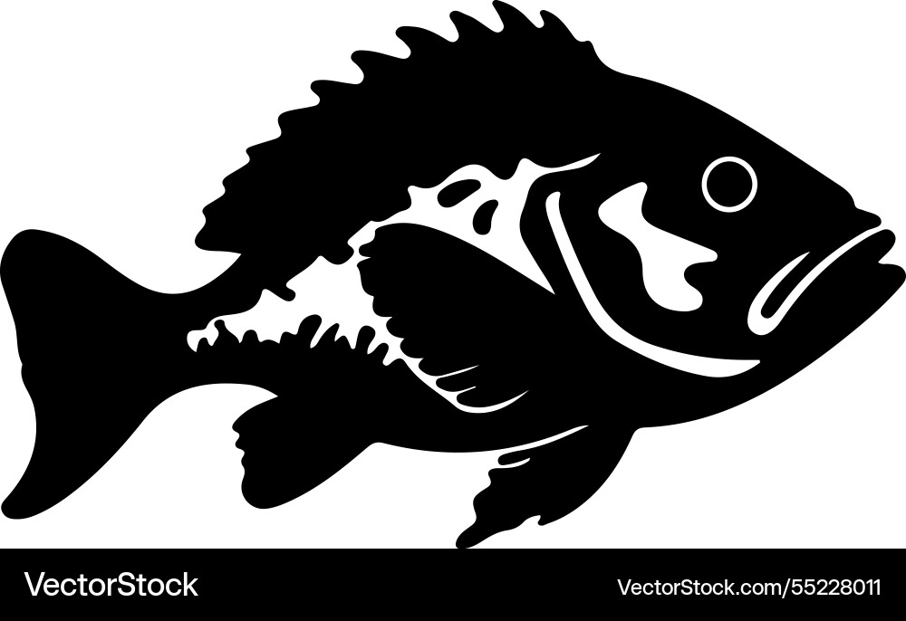 Grouper silhouette Royalty Free Vector Image - VectorStock