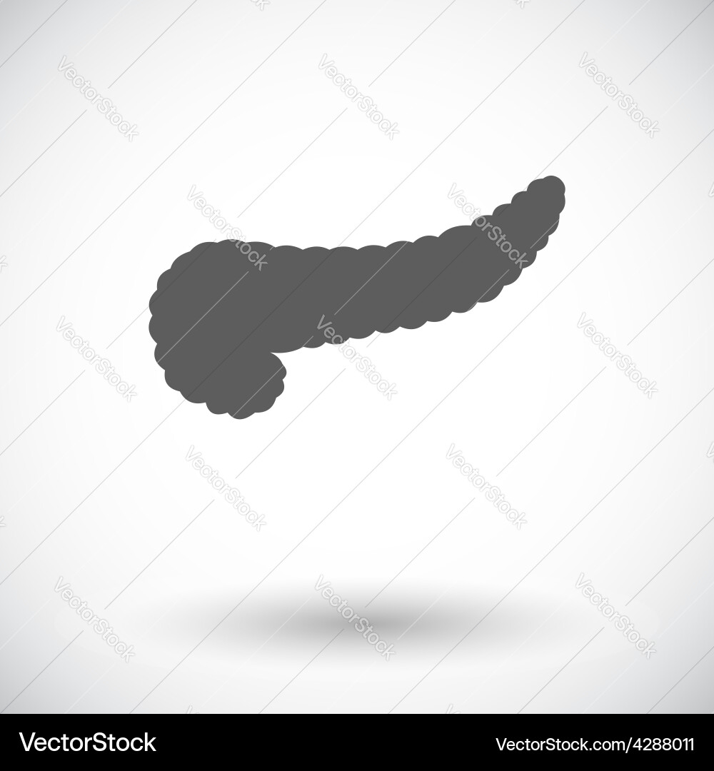 Pancreas icon Royalty Free Vector Image - VectorStock