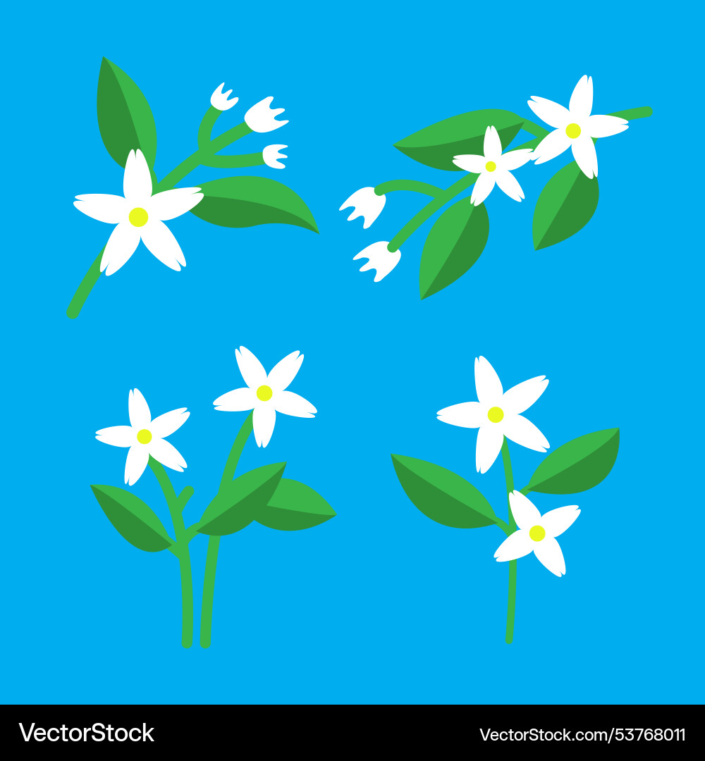 Plant Royalty Free Vector Image - VectorStock