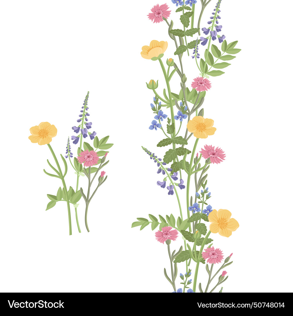 Drawing wild flowers Royalty Free Vector Image