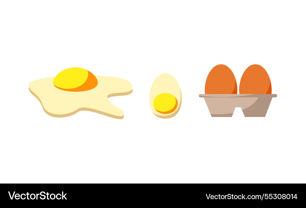 Egg sets in various forms raw boiled and fried Vector Image