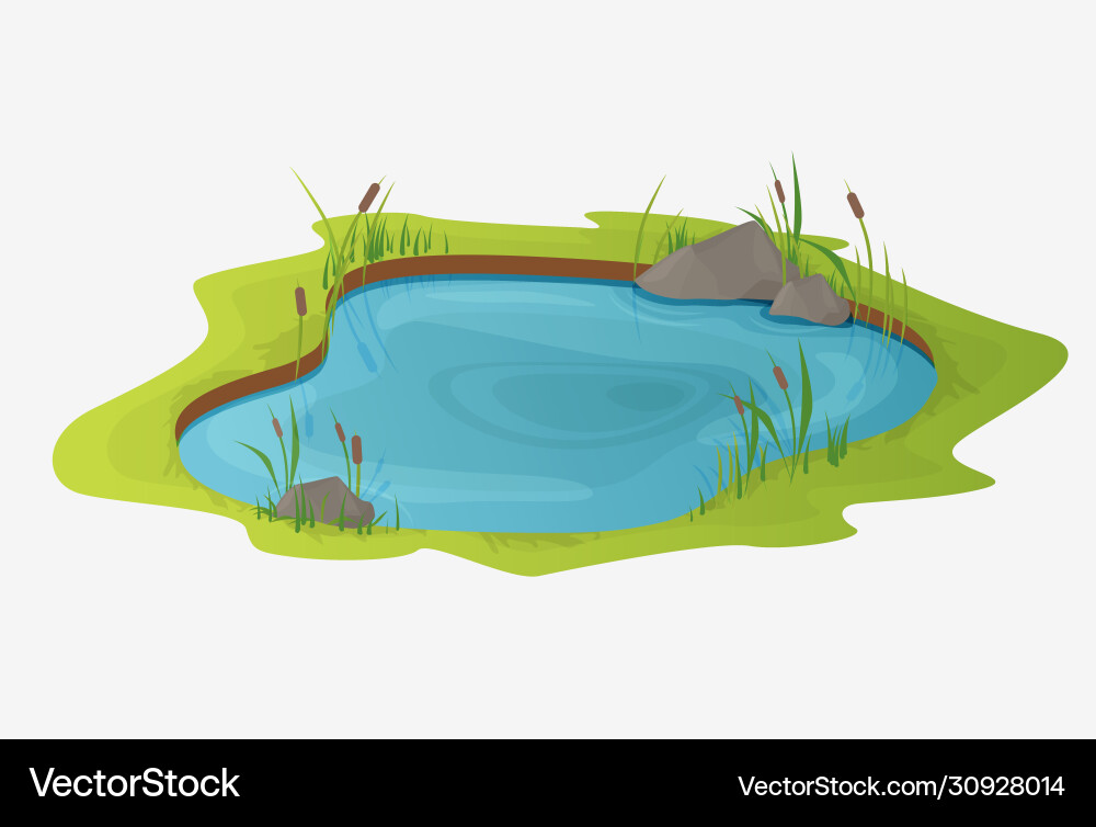 Serene Water Pond with Reeds Royalty Free Vector Image