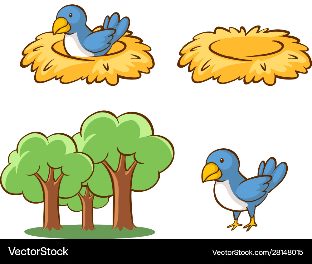 Isolated picture birds and nest Royalty Free Vector Image