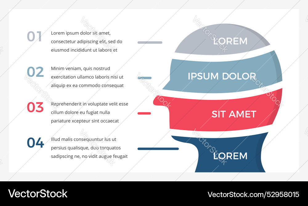 Male head - infographic template Royalty Free Vector Image
