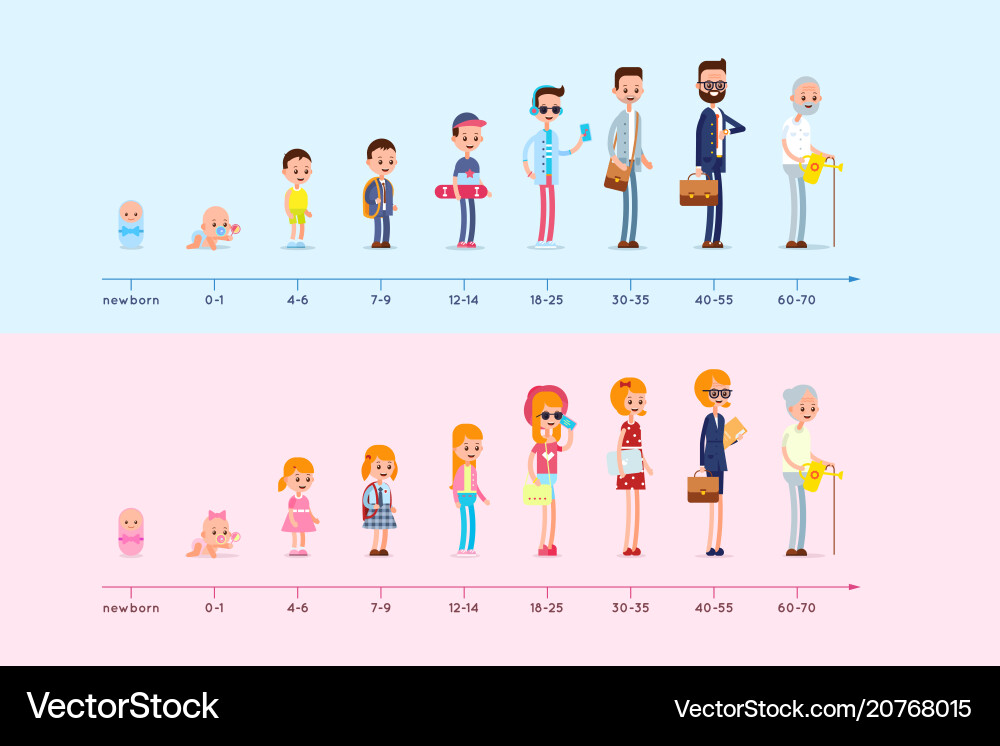 Stages of growing up life cycle graph Royalty Free Vector