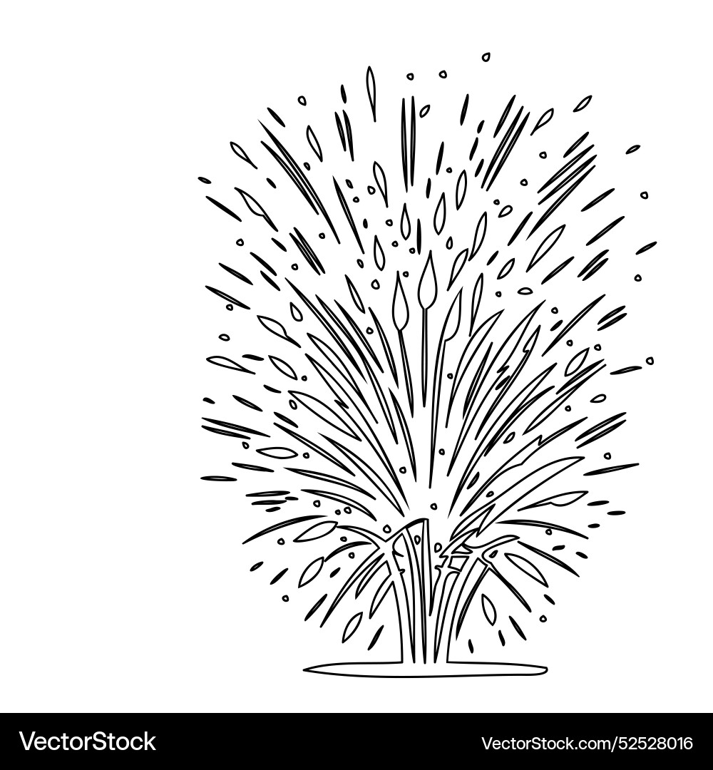Celebration fireworks splash outline sketch Vector Image