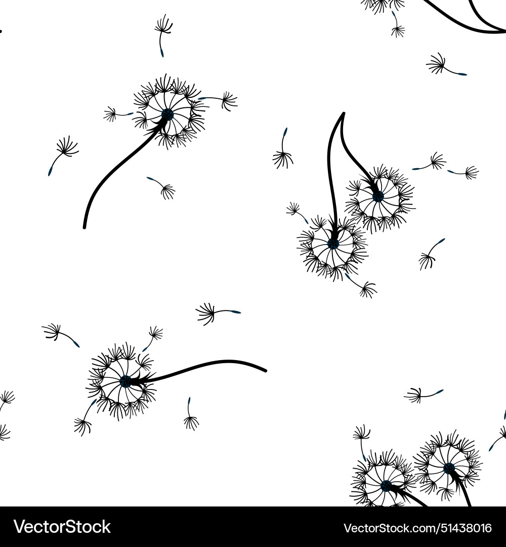 Dandelion background your design abstract floral Vector Image