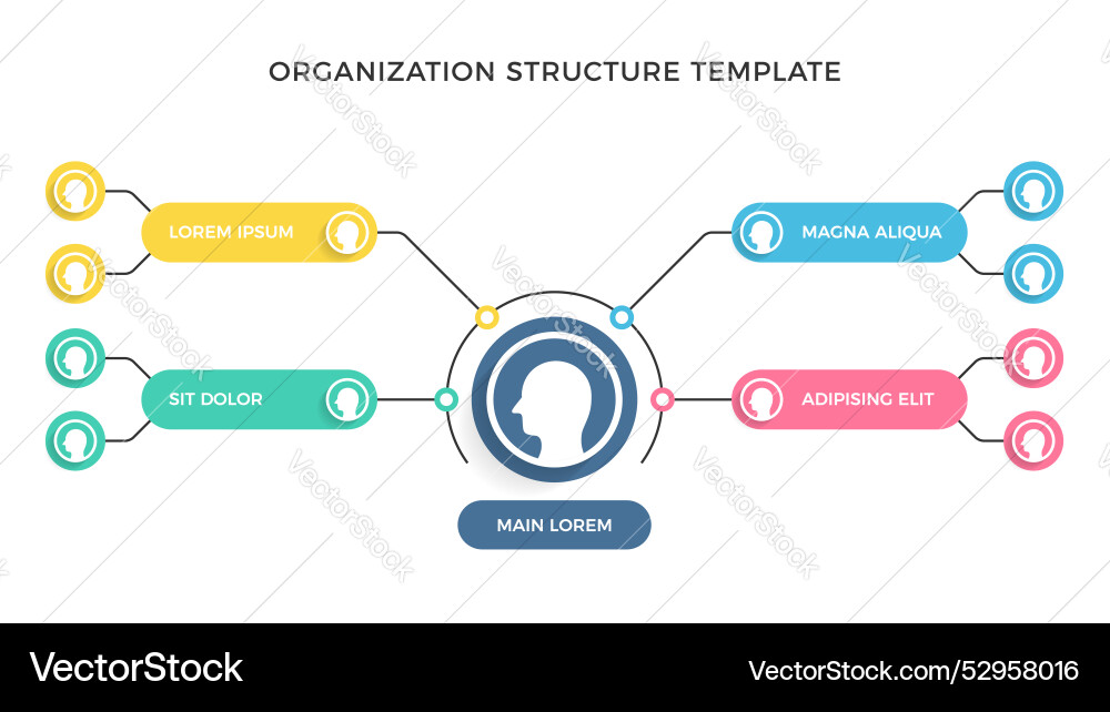 Organization structure template Royalty Free Vector Image