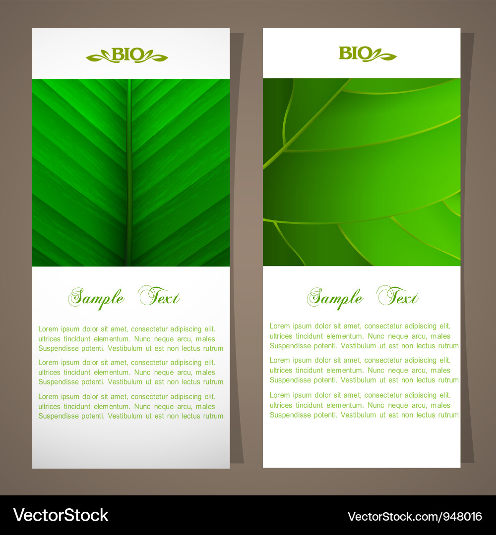 Two bio banners Royalty Free Vector Image - VectorStock