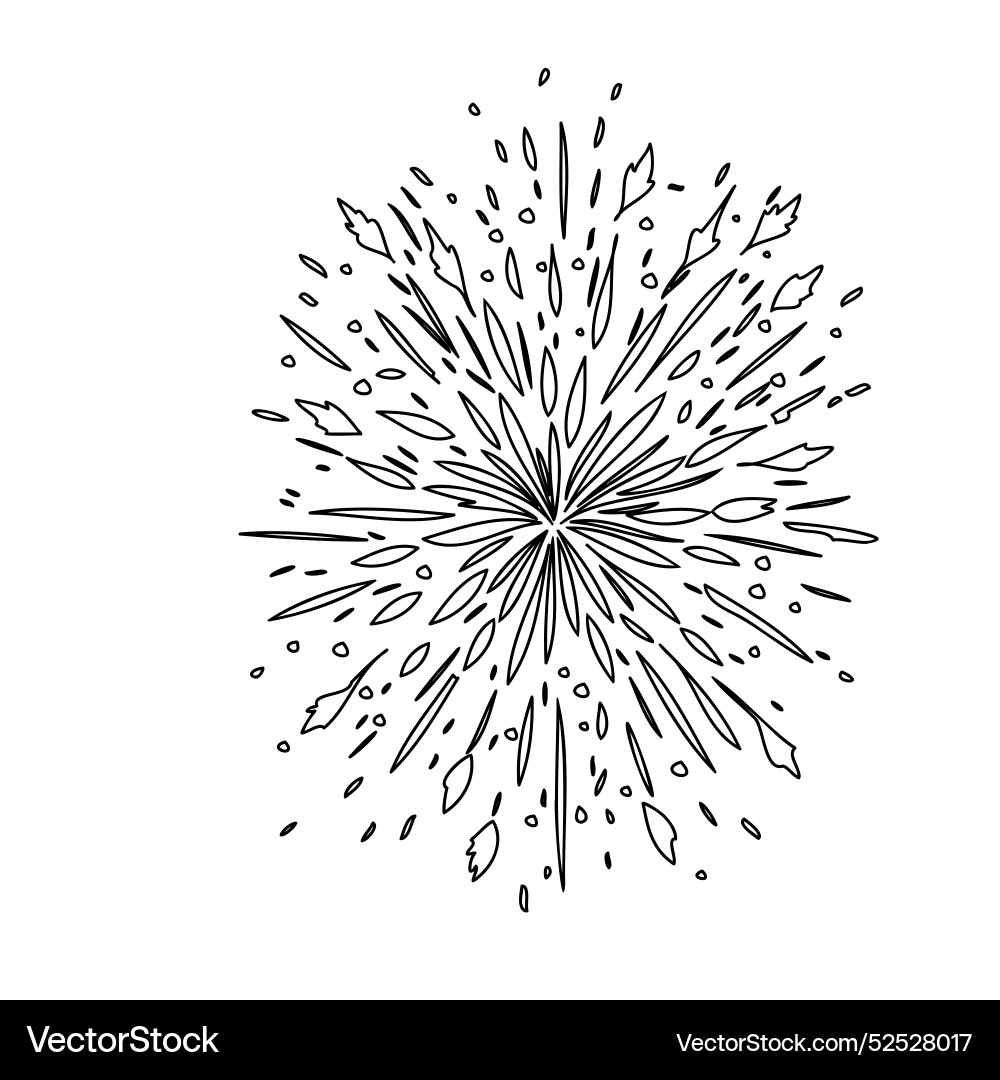 Celebration fireworks splash outline sketch Vector Image