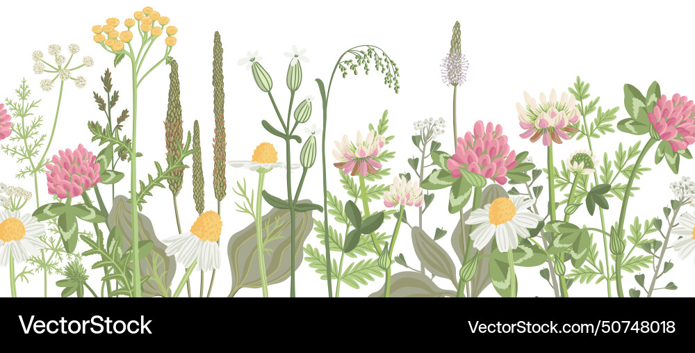 Drawing wild flowers seamless pattern Royalty Free Vector