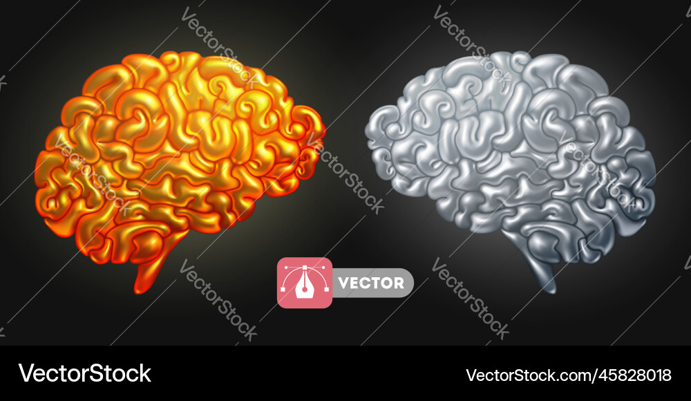 Gold and silver brain 3d icon Royalty Free Vector Image