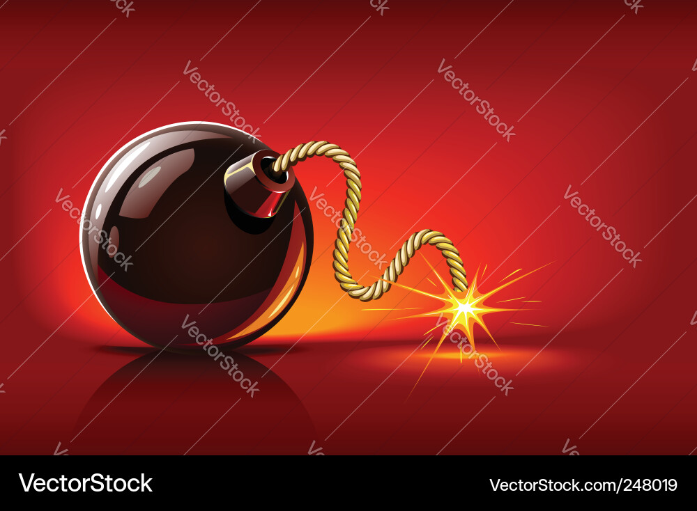 Lit bomb Royalty Free Vector Image - VectorStock