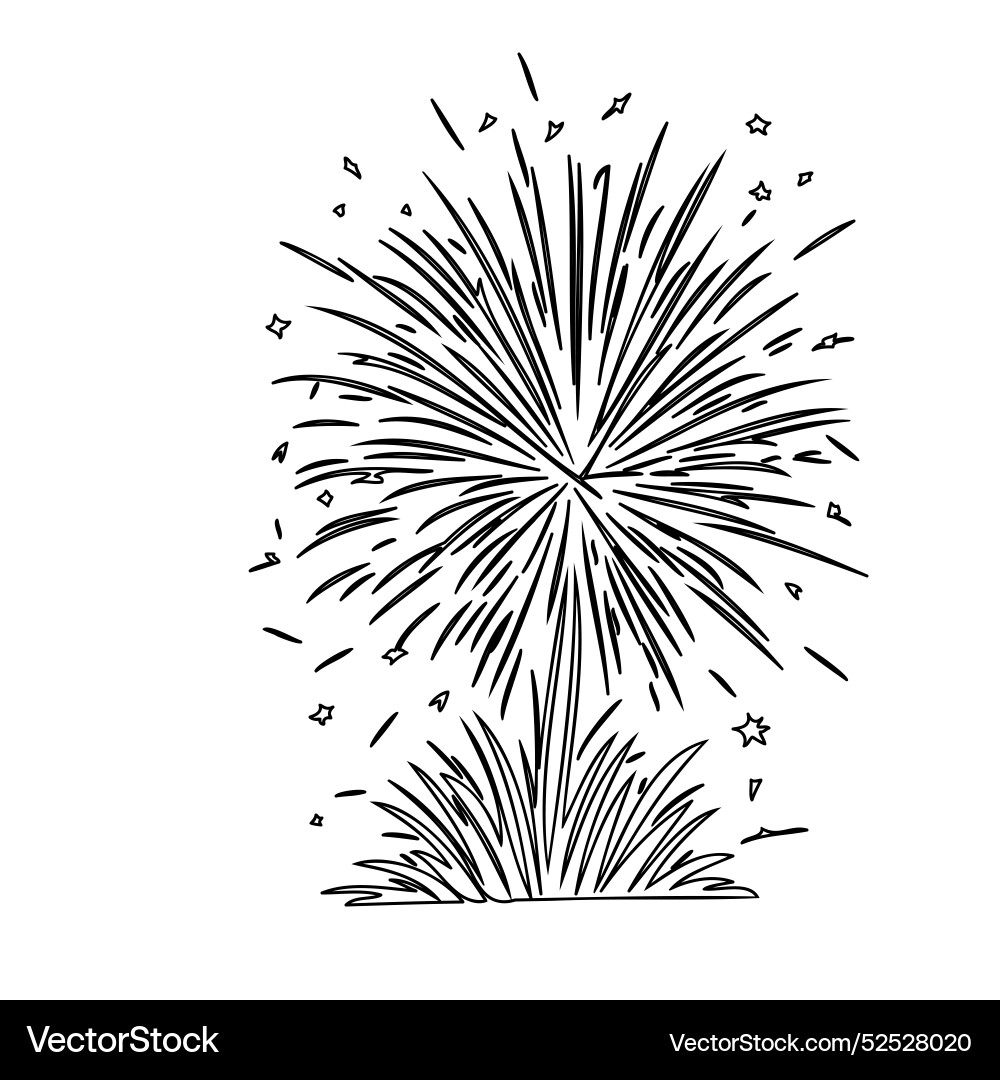 Celebration fireworks splash outline sketch Vector Image