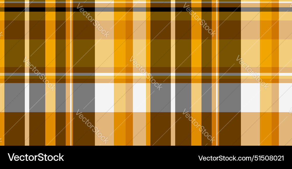 India tartan textile check upscale texture fabric Vector Image