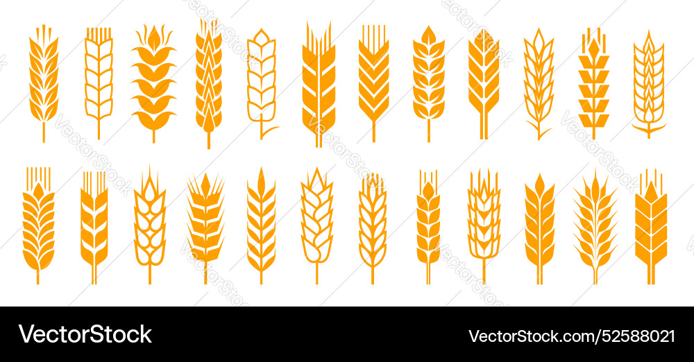 Cereal Vector Images (over 64,000)