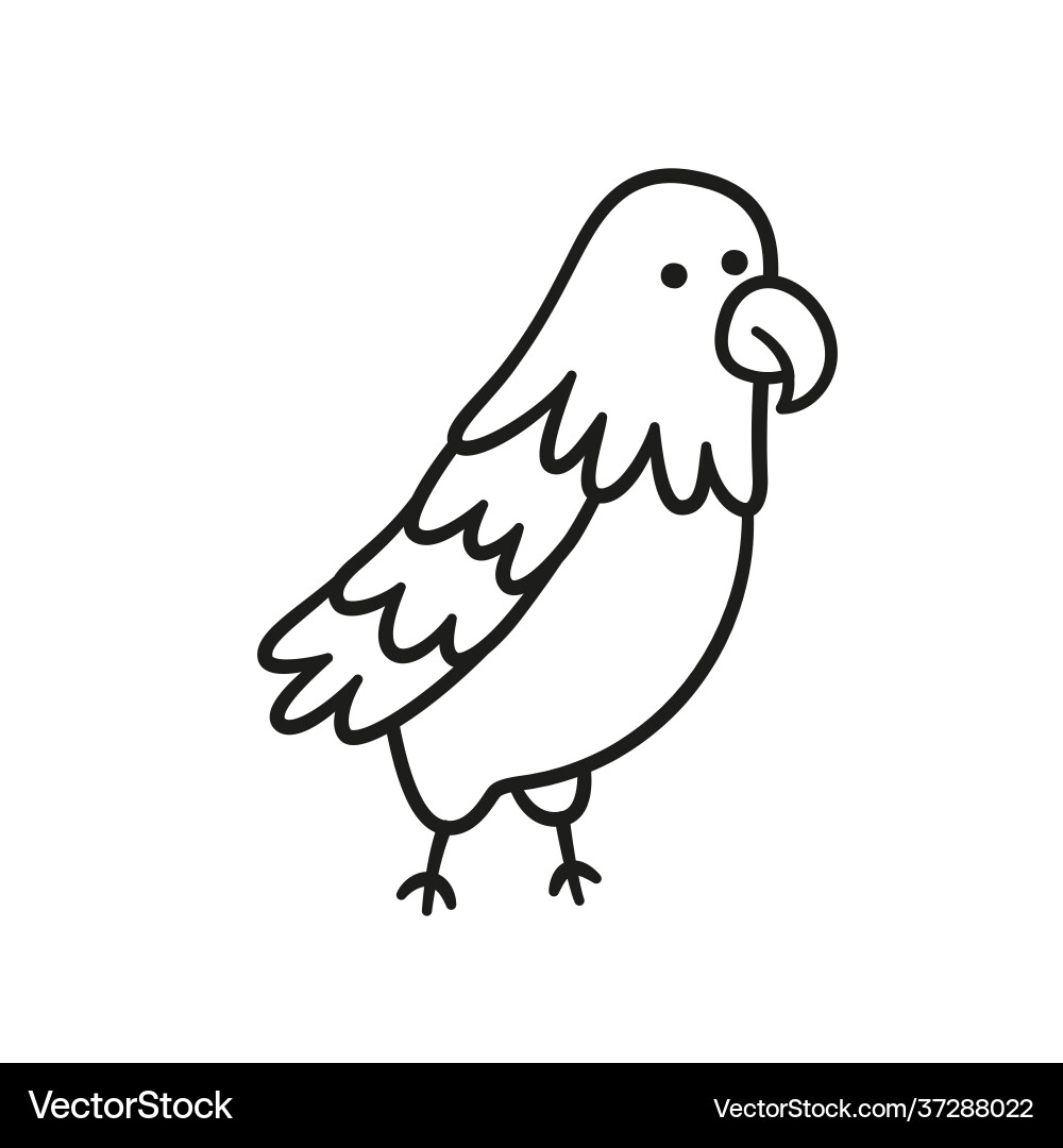 Ara parrot doodle icon hand drawn bird isolated Vector Image