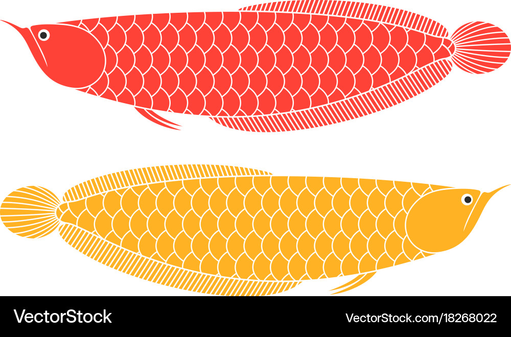 Dragon fish Royalty Free Vector Image - VectorStock