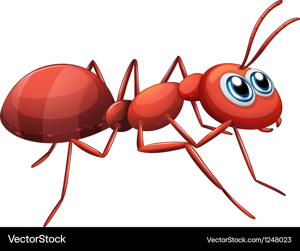 An ant crawling Royalty Free Vector Image - VectorStock