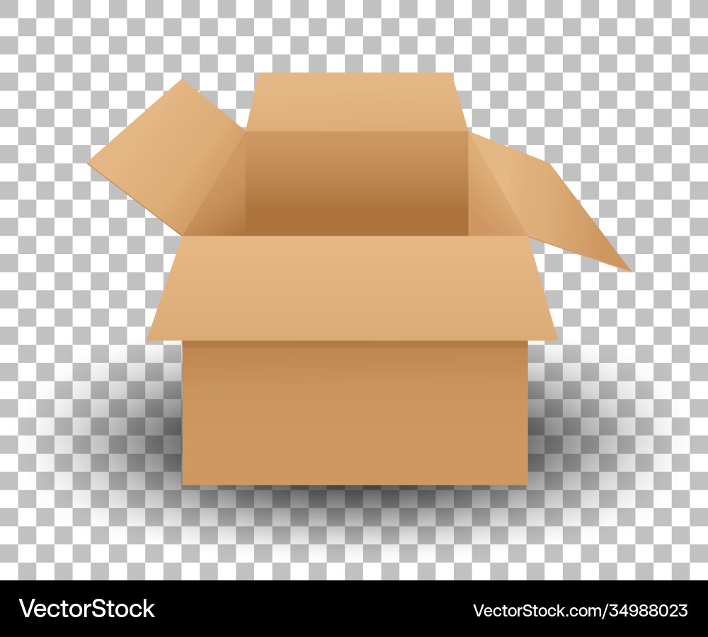 Cardboard box opened isolated cartoon style Vector Image