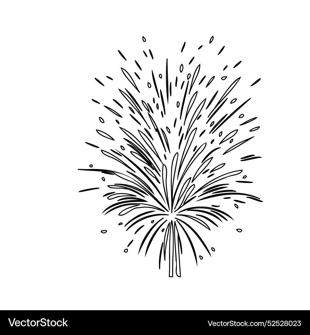 Celebration fireworks splash outline sketch Vector Image