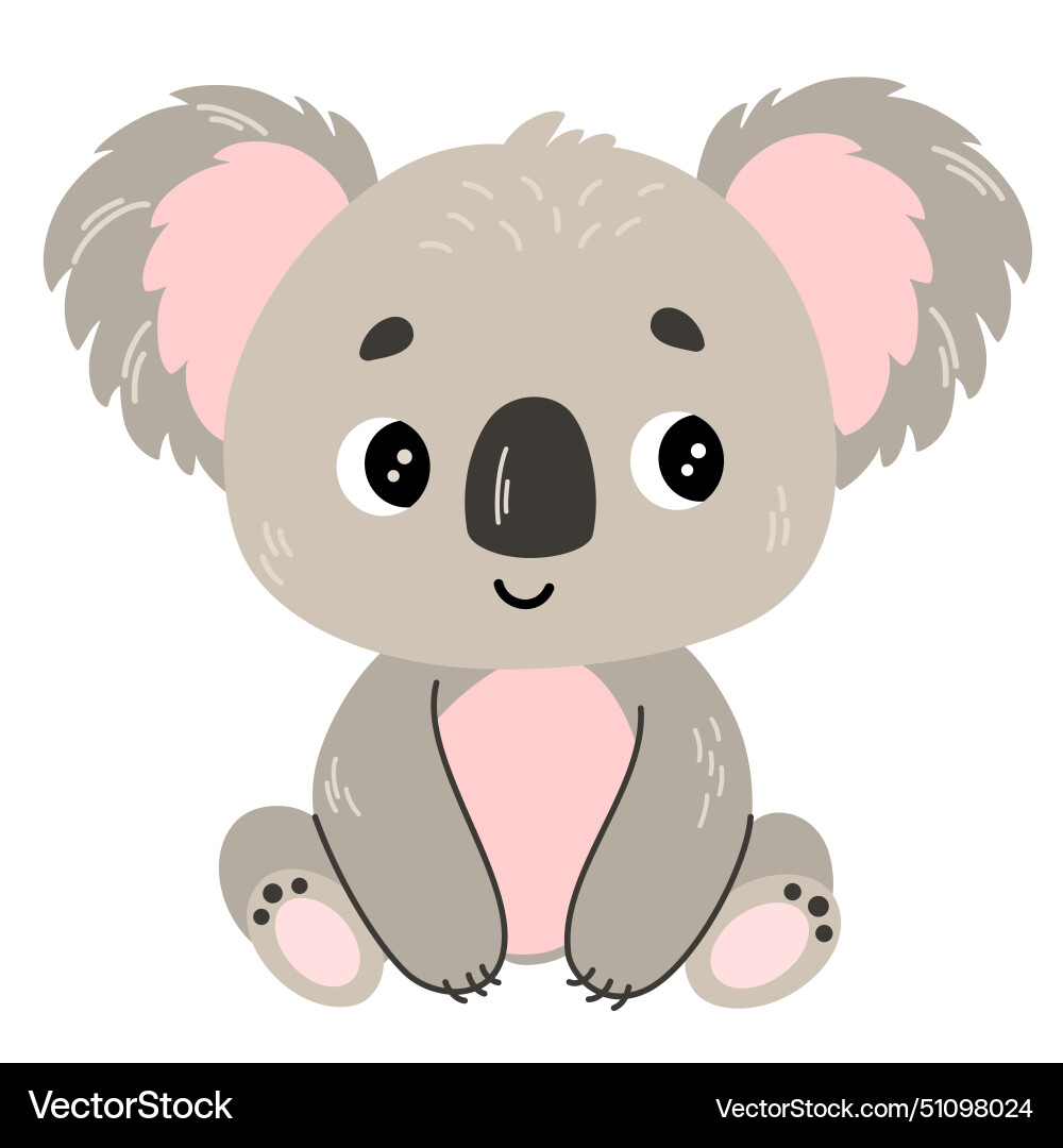 1805 koala Royalty Free Vector Image - VectorStock