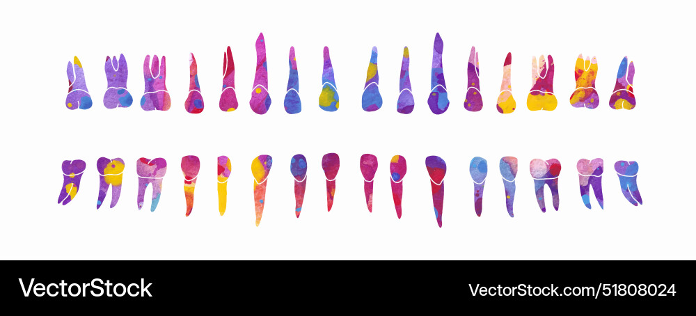 Dental row colorful watercolor Royalty Free Vector Image