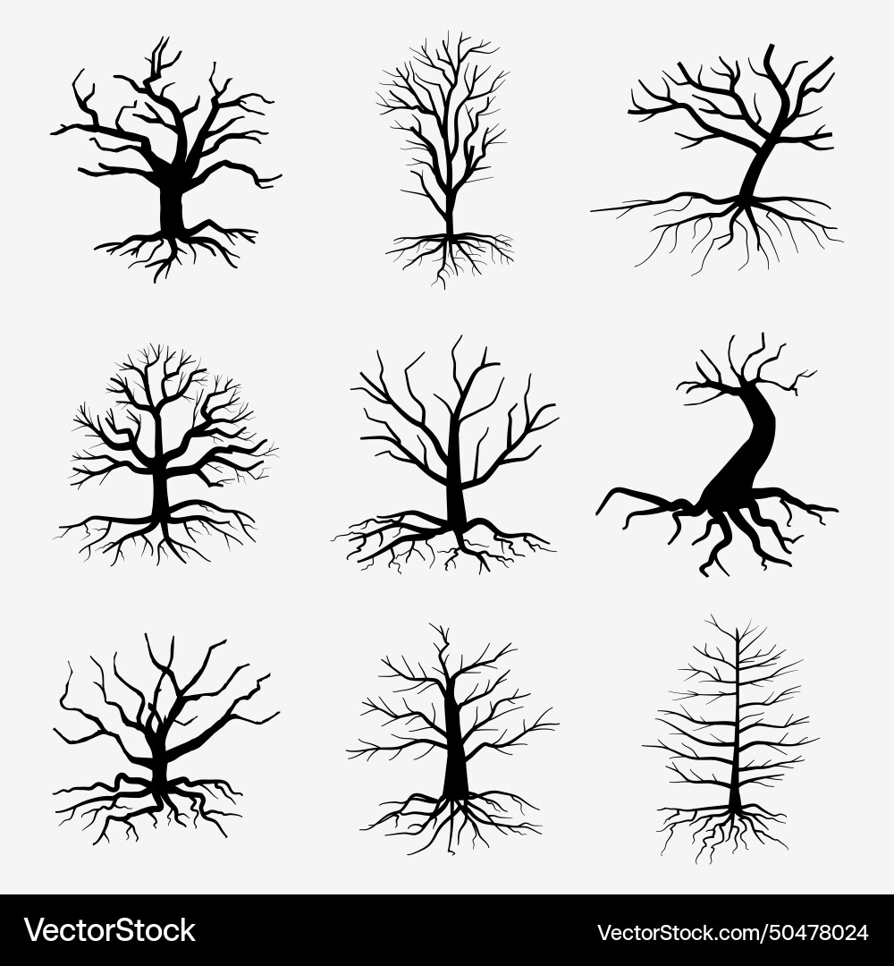 Old dark trees with roots dead forest Royalty Free Vector