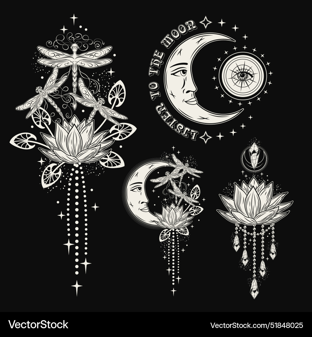 Mysterious labels with dragonfly lotus moon Vector Image