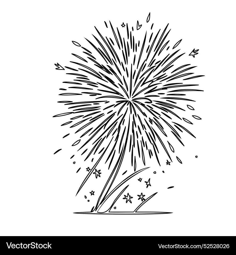 Celebration fireworks splash outline sketch Vector Image