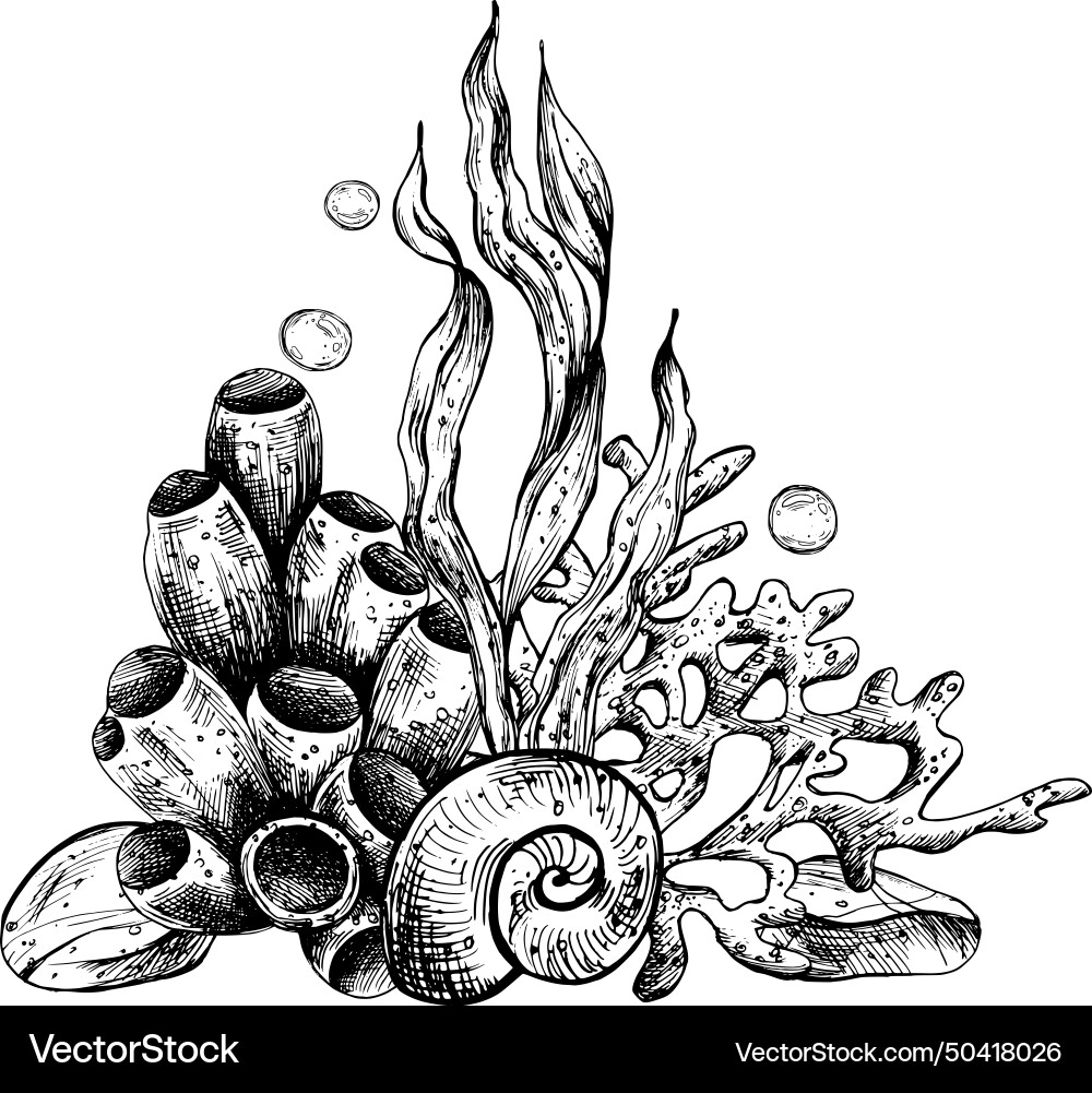 Underwater world clipart with sea animals shells Vector Image