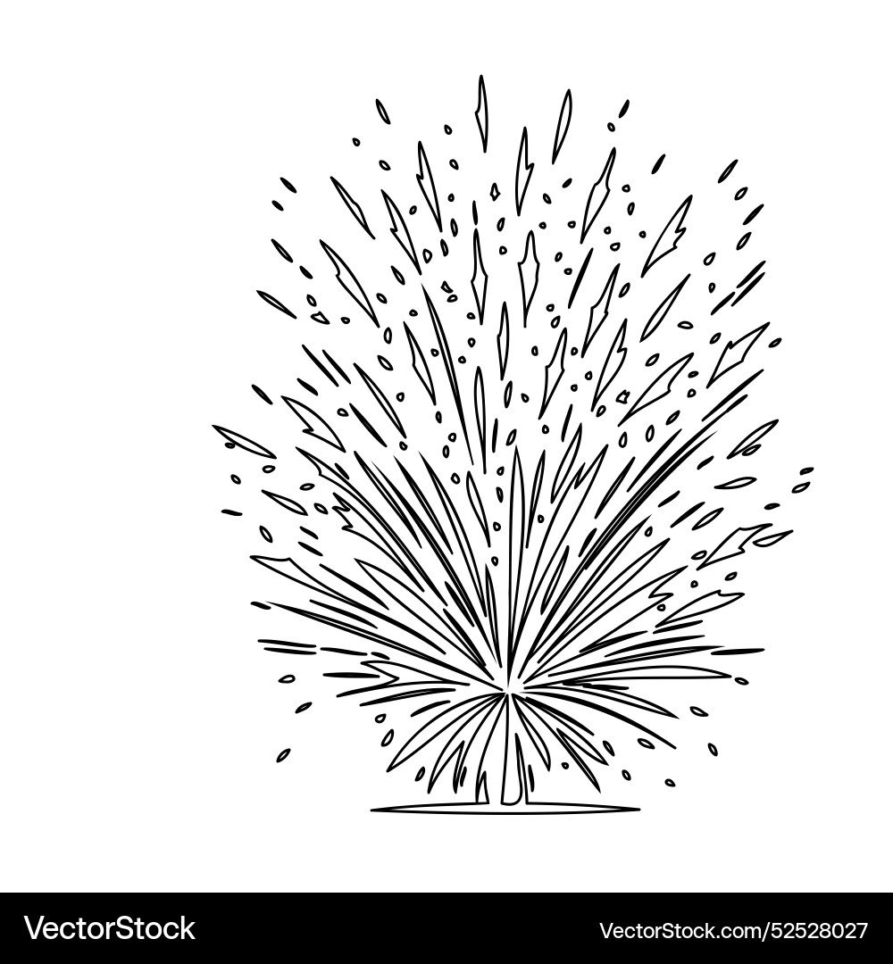 Celebration fireworks splash outline sketch Vector Image