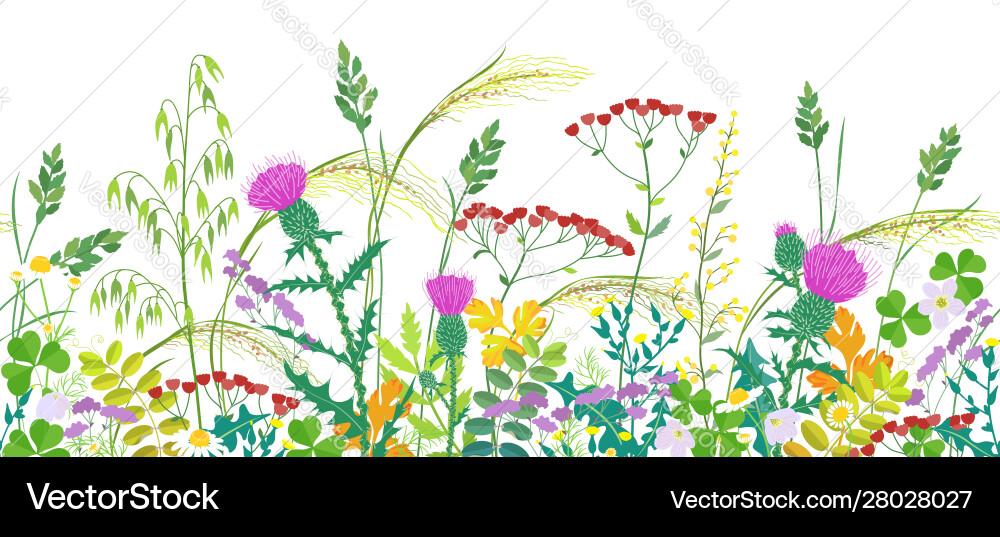 Summer Meadow Border - Wildflowers Royalty Free Vector Image