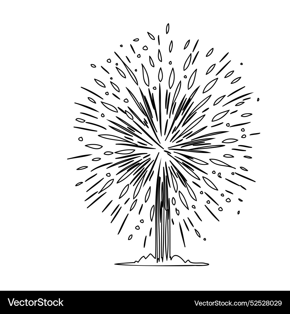 Celebration fireworks splash outline sketch Vector Image