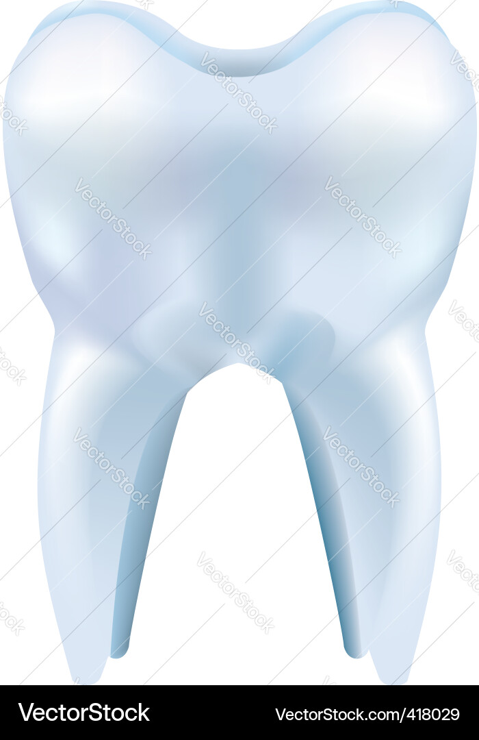 Tooth Royalty Free Vector Image - VectorStock