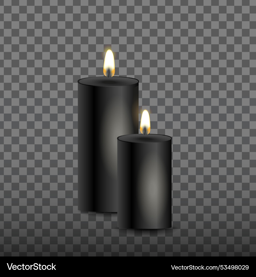 Two black candles in transparent background Vector Image