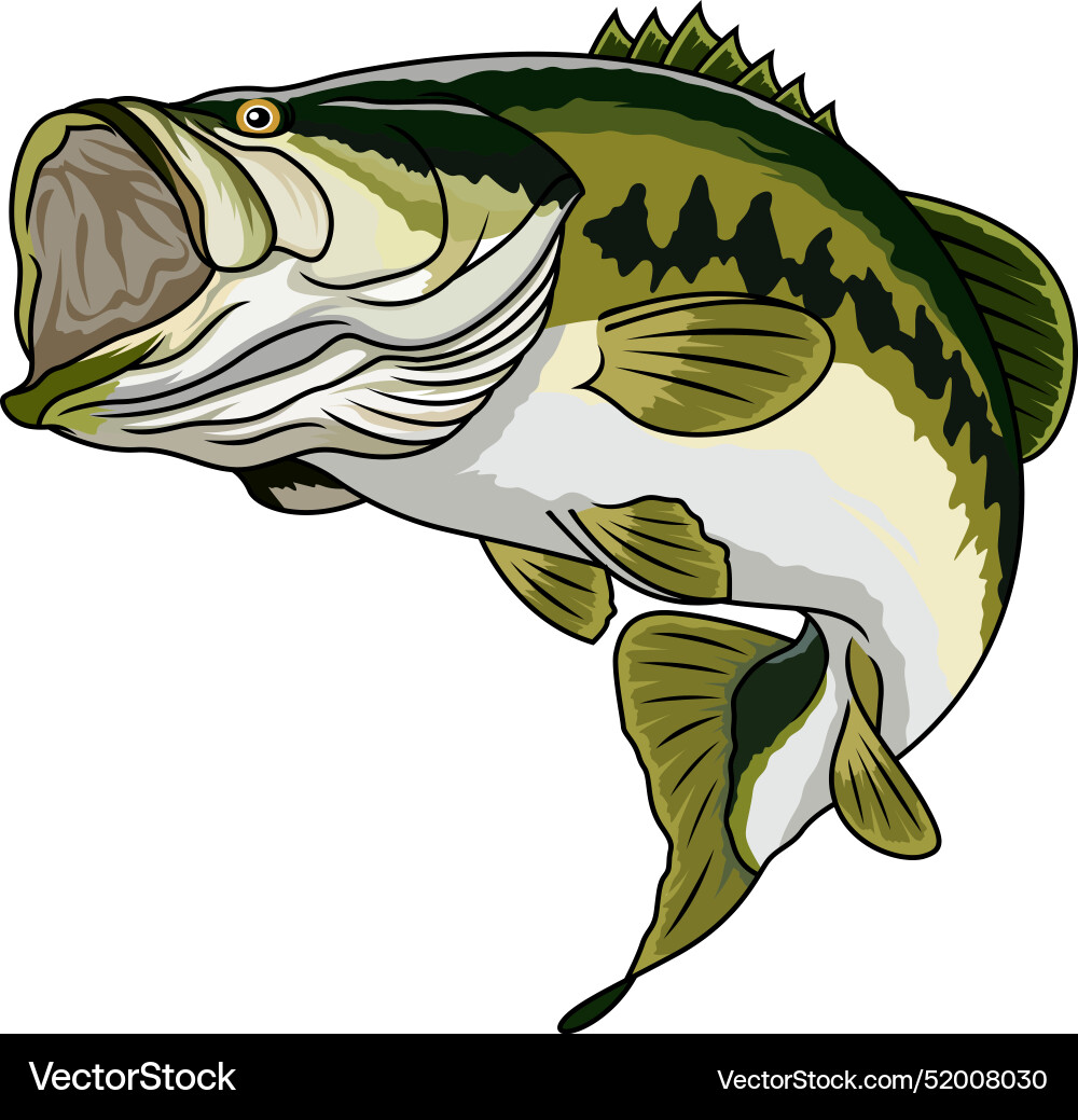 Bass fishing logo image Royalty Free Vector Image