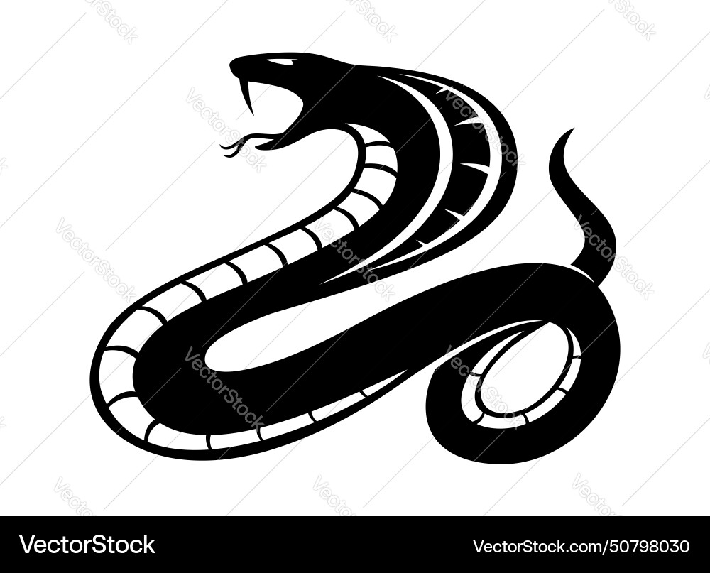 Cobra snake icon Royalty Free Vector Image - VectorStock