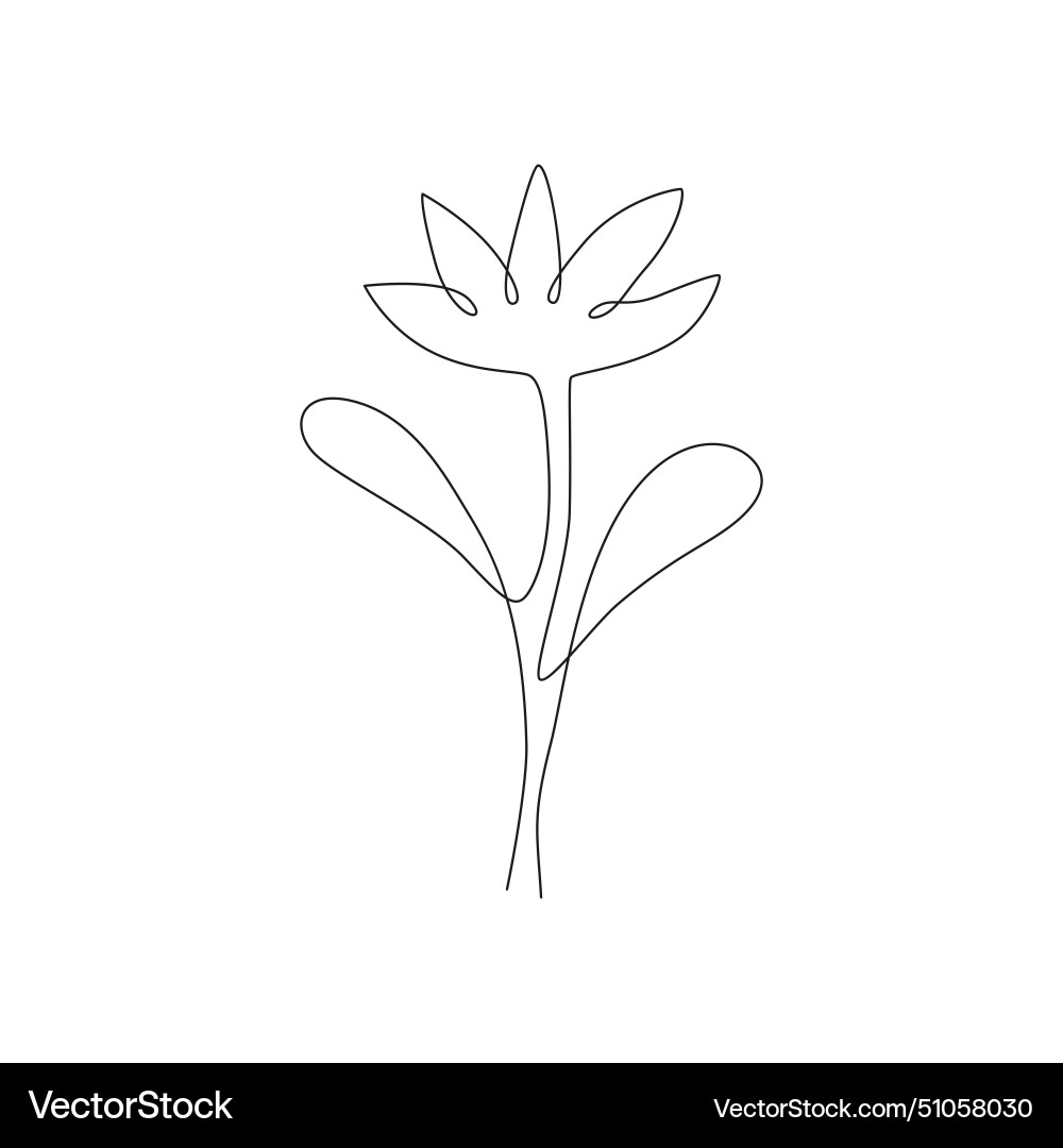 Wild field flower in one line style Royalty Free Vector
