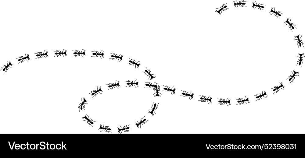 Swirl ant trail insect path Royalty Free Vector Image