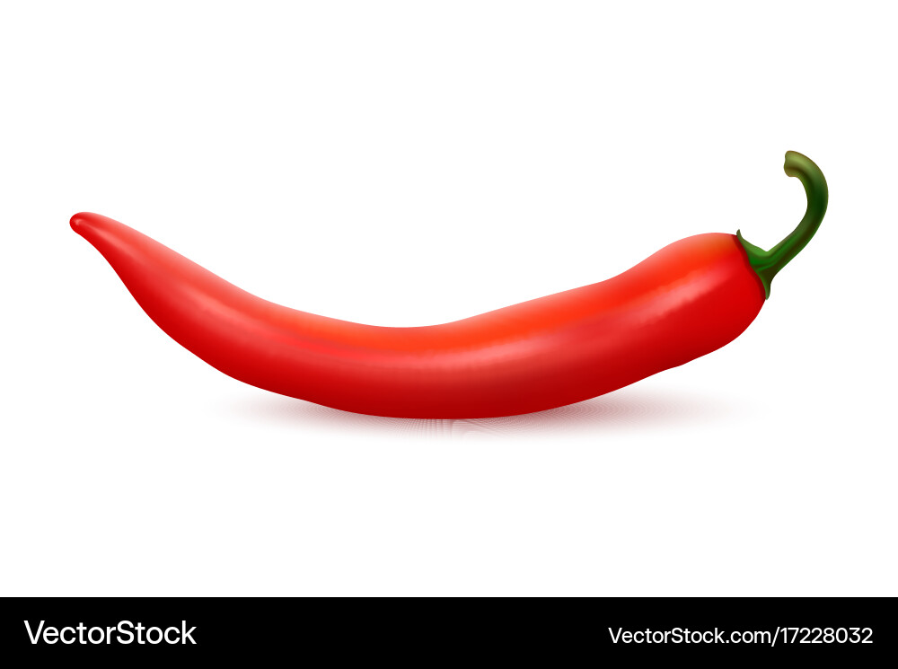 Realistic red hot natural chili pepper Royalty Free Vector